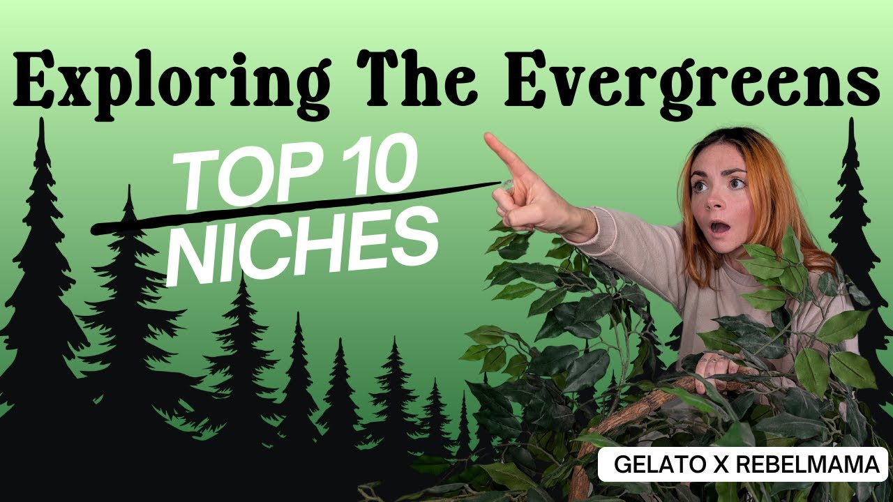 Top 10 Evergreen Niches for Print on Demand Success in 2024 | Niche ...